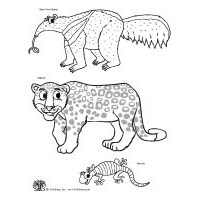 The rainforest preschool activities and crafts | KidsSoup