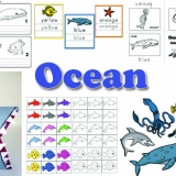 Ocean and Ocean Animals Activities, Lessons, and Crafts | KidsSoup