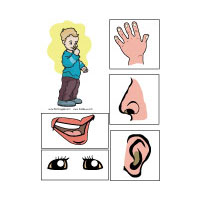 My Five Senses Preschool Activities, Lessons, and Printables | KidsSoup