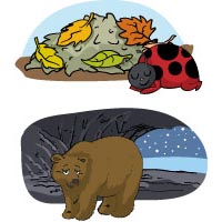 Animals in Winter Preschool Activities, Lessons, and Printables | KidsSoup