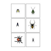 Preschool and Kindergarten Spiders Activities and Crafts | KidsSoup