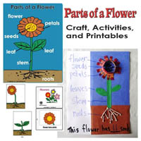 Spring Activities, Crafts, and Lessons | KidsSoup