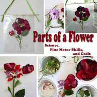 Spring Activities, Crafts, and Lessons | KidsSoup