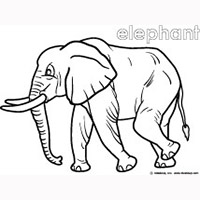 Safari preschool activities and crafts | KidsSoup