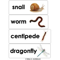 Bugs and Garden Critters Preschool Activities and Crafts | KidsSoup